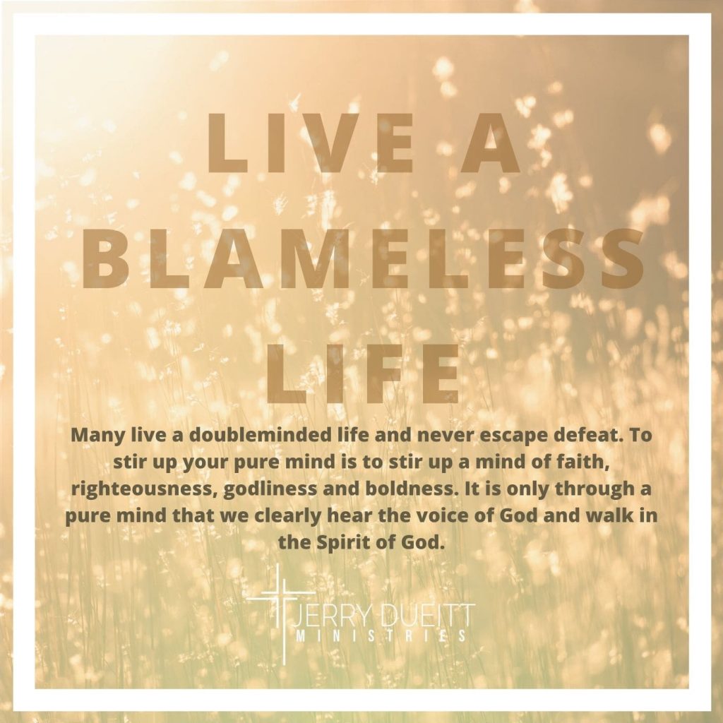 Stir Up Your Pure Mind - Jerry Dueitt